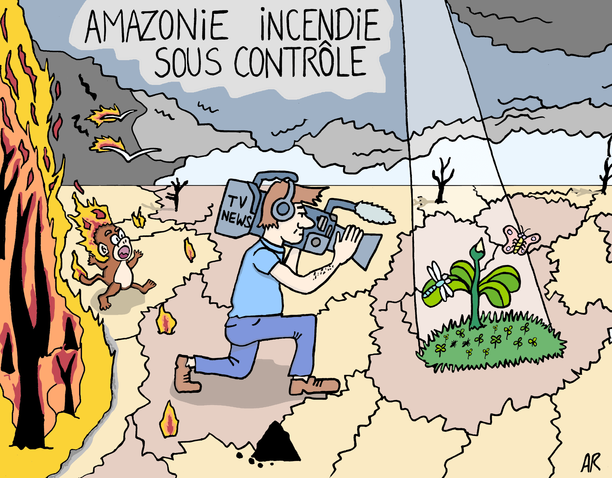 Images d'incendie en Amazonie - Humour écologie - Dessin-humoristique